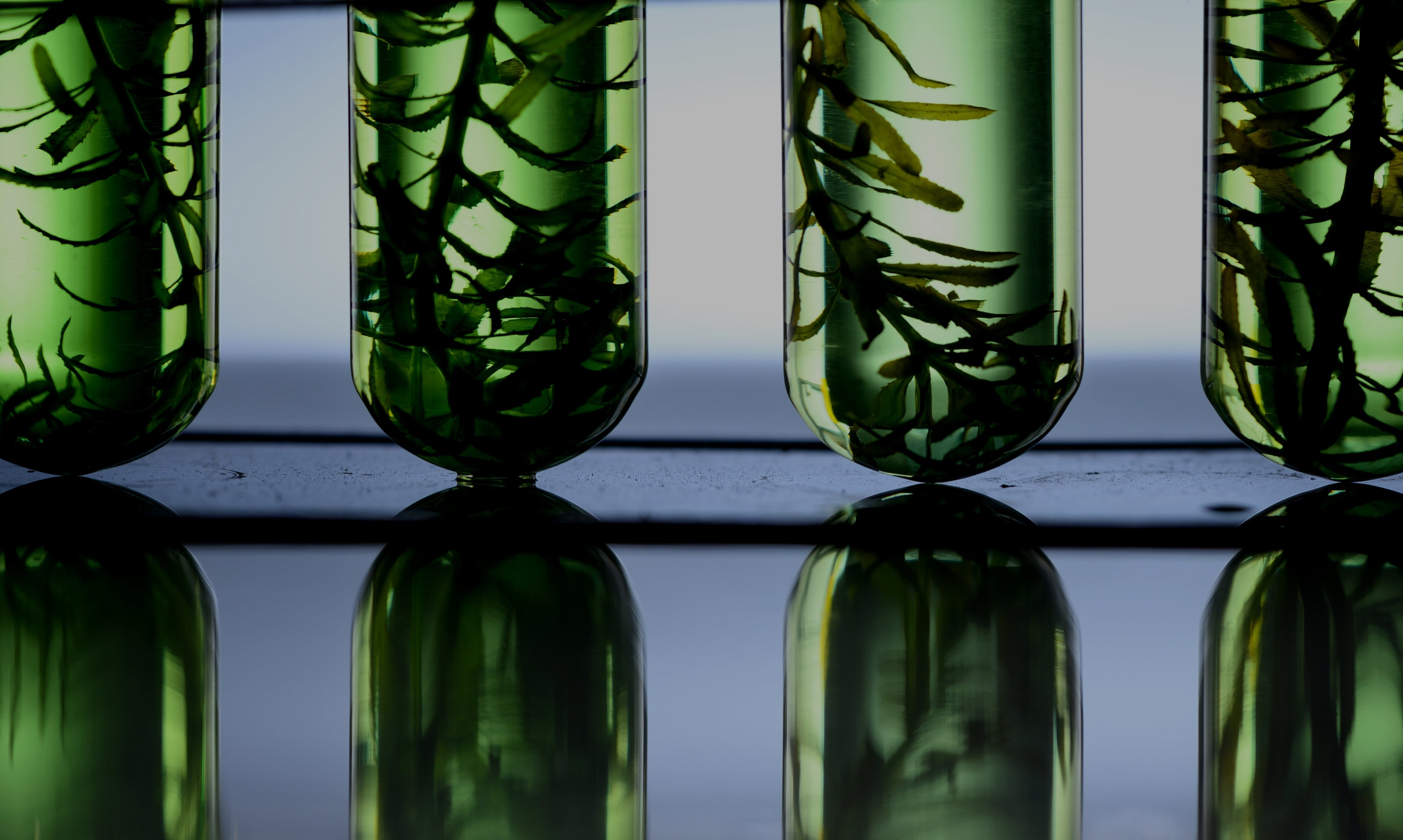 SickScience Labs